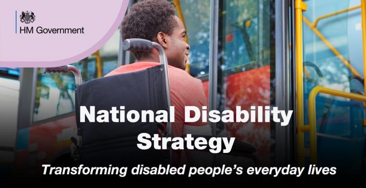National Disability Strategy | Healthwatch Lincolnshire